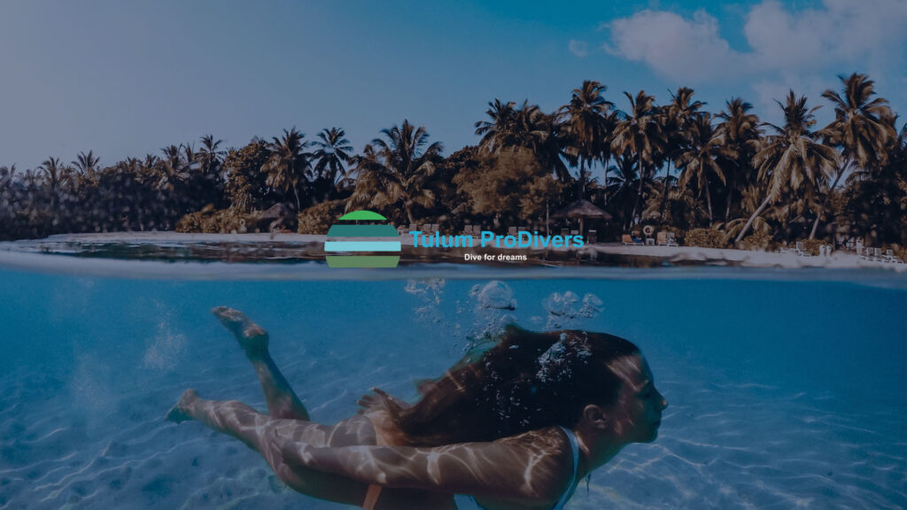 Solidem - David Digital México